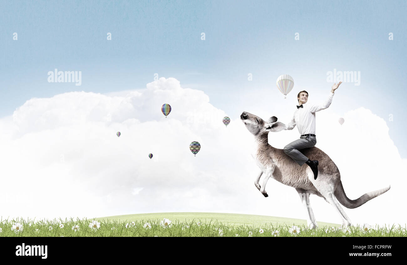 Young pretty fearless woman riding kangaroo animal Stock Photo - Alamy