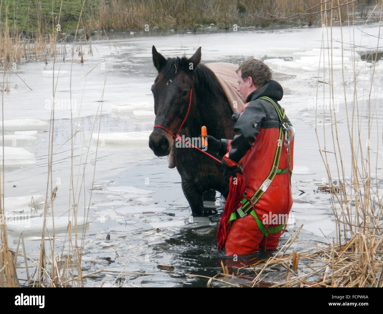 Frozen fire horse hi-res stock photography and images - Alamy