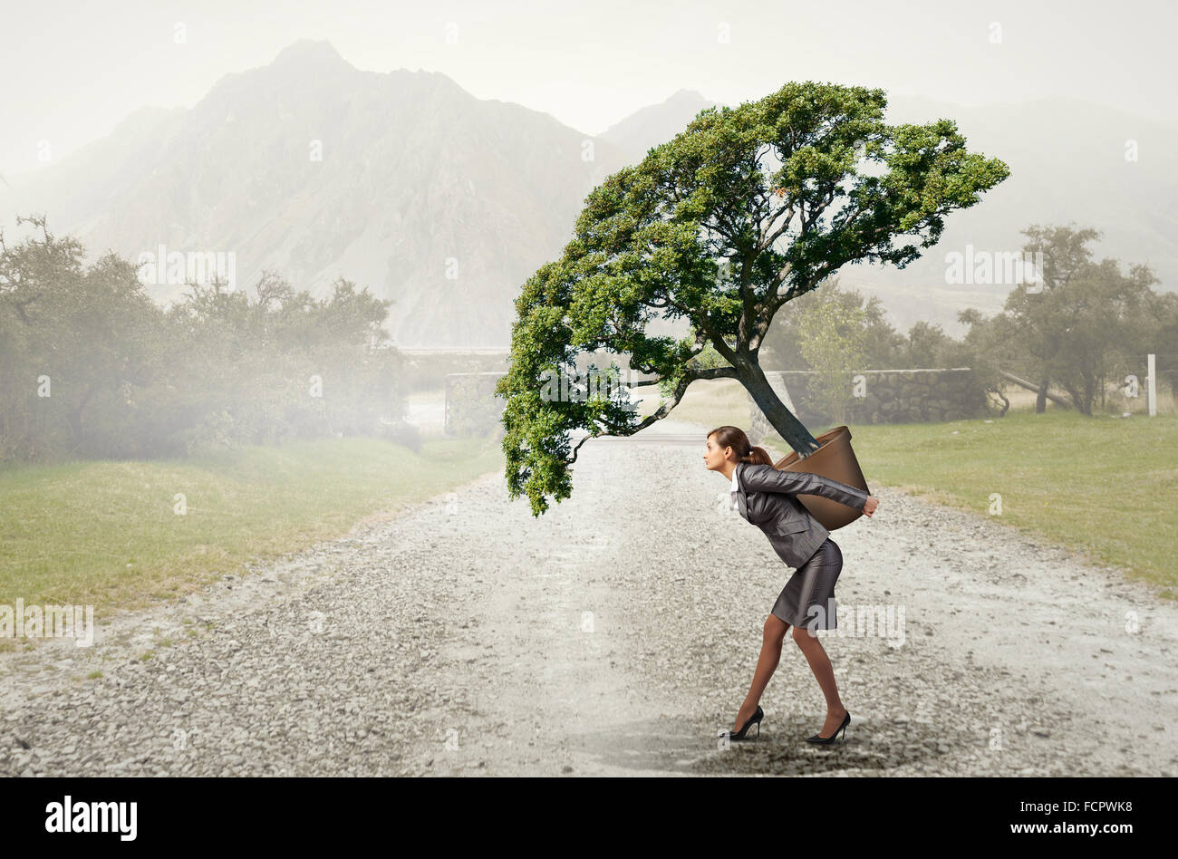 Young pretty woman carrying green tree in pot Stock Photo - Alamy