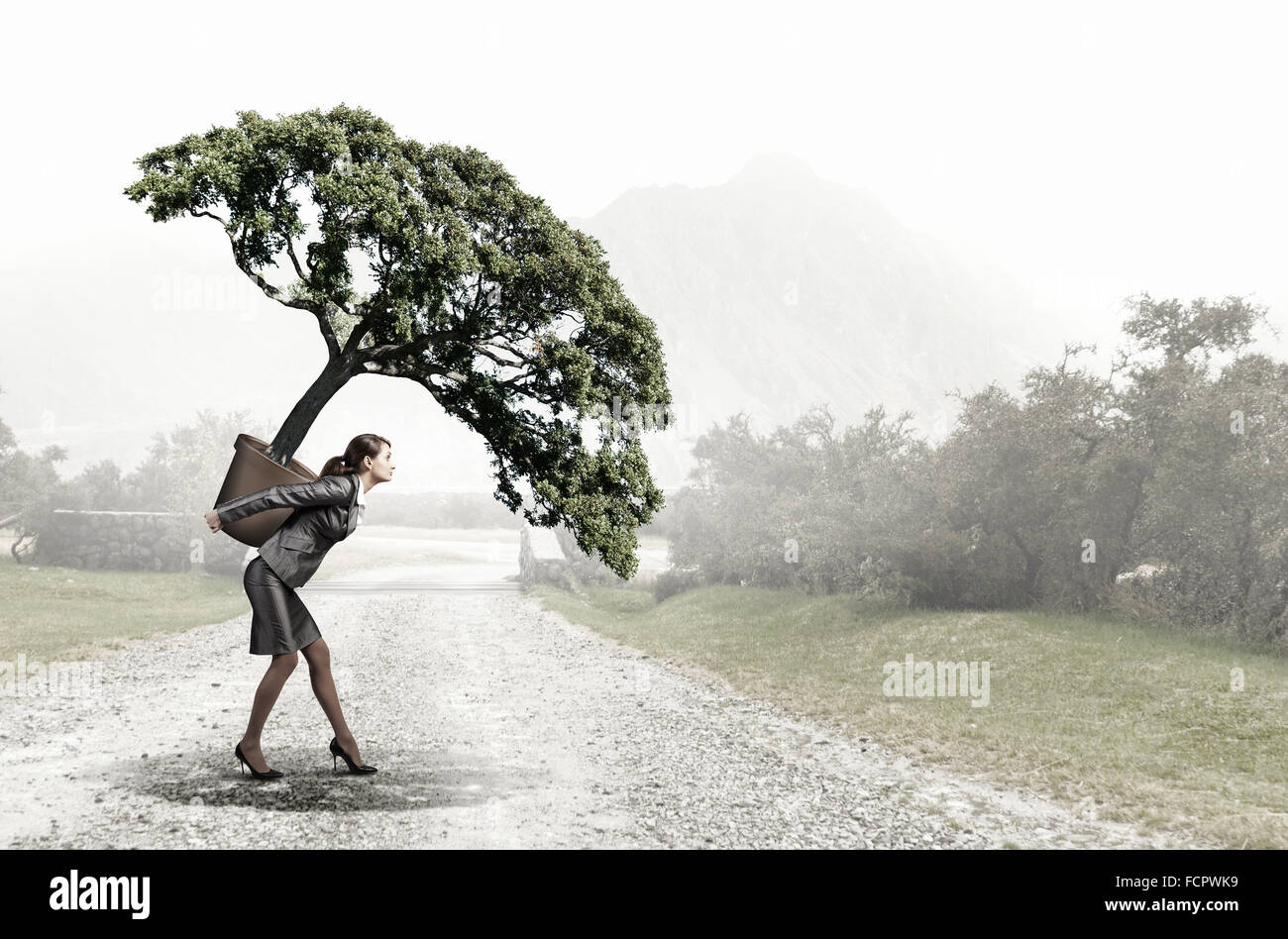 Young pretty woman carrying green tree in pot Stock Photo - Alamy