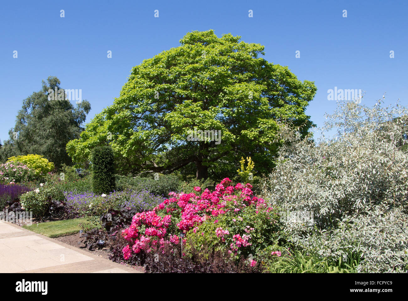 RHS Wisley Garden, Surrey Stock Photo - Alamy