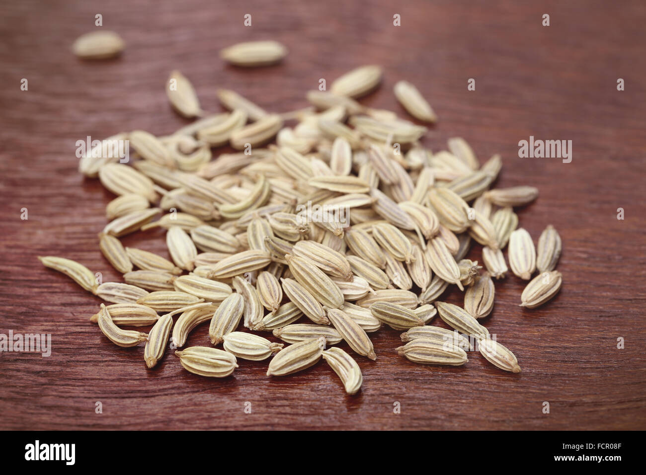 Seed surface hi-res stock photography and images - Alamy