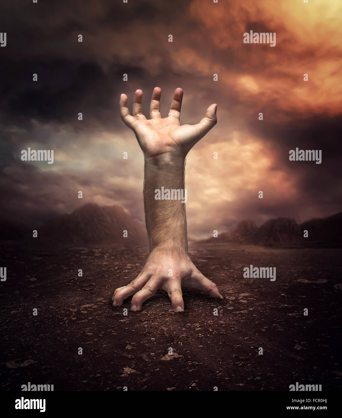 Strange creature hi-res stock photography and images - Alamy