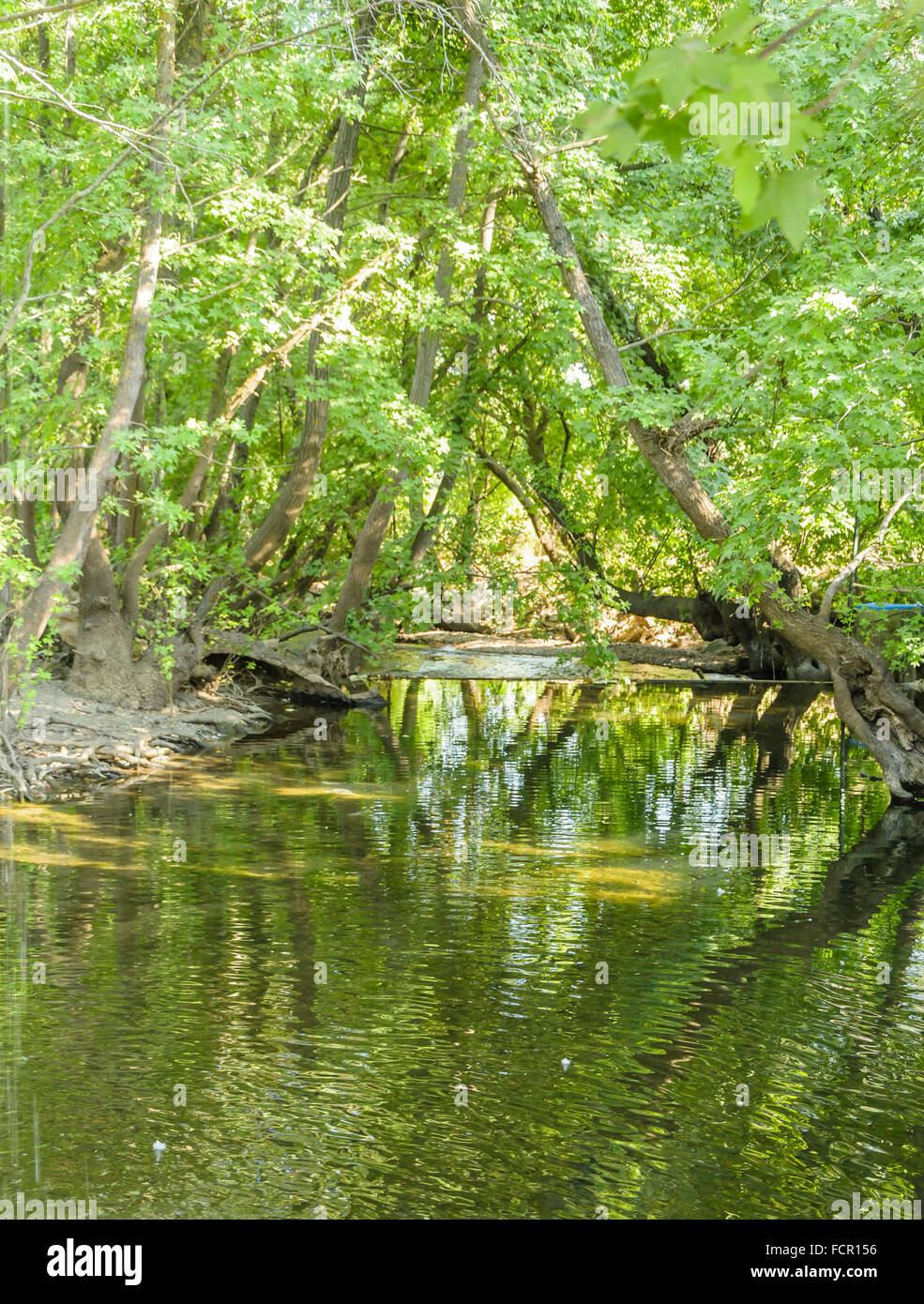 Beautiful green nature landscape river hi-res stock photography and ...