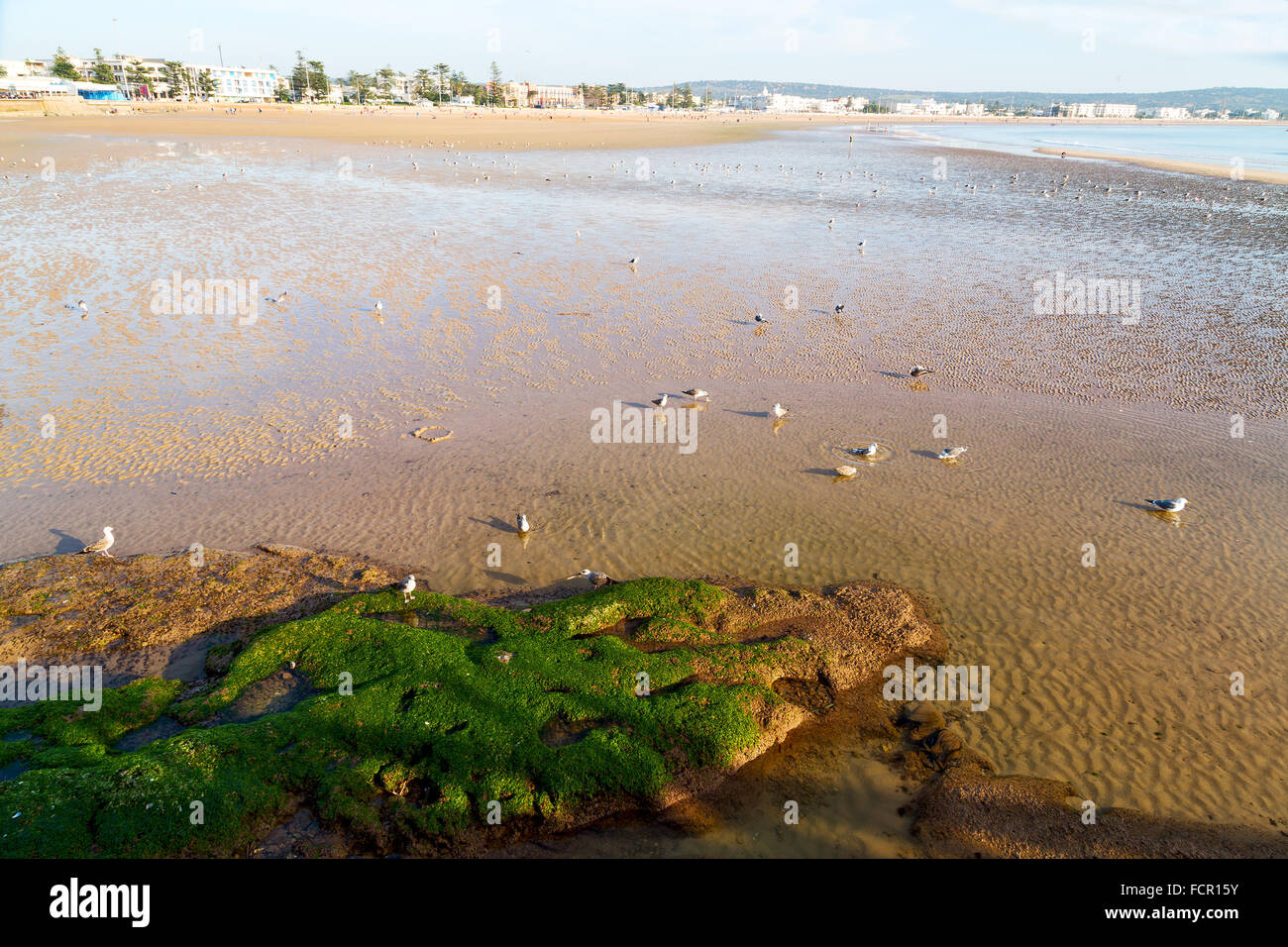 abstract in morocco sea africa ocean wave and lanscape Stock Photo - Alamy