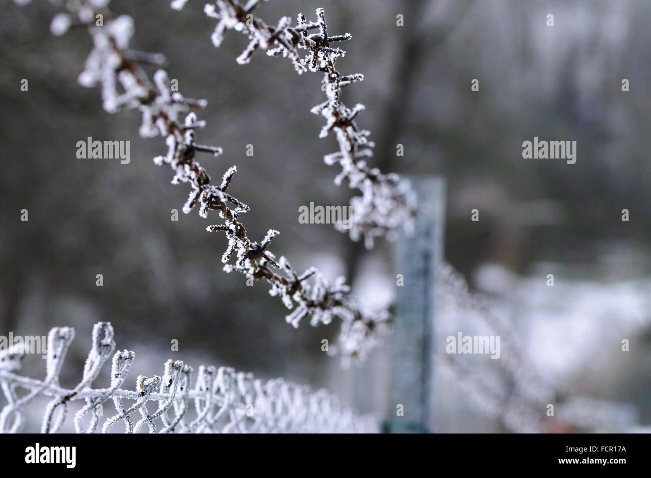 Stacheldraht hi-res stock photography and images - Alamy