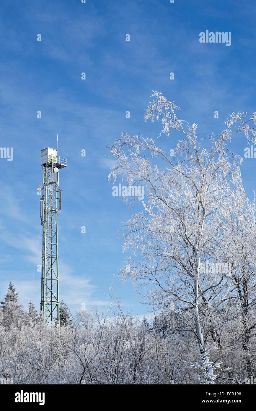 Forest fire lookout tower hi-res stock photography and images - Alamy