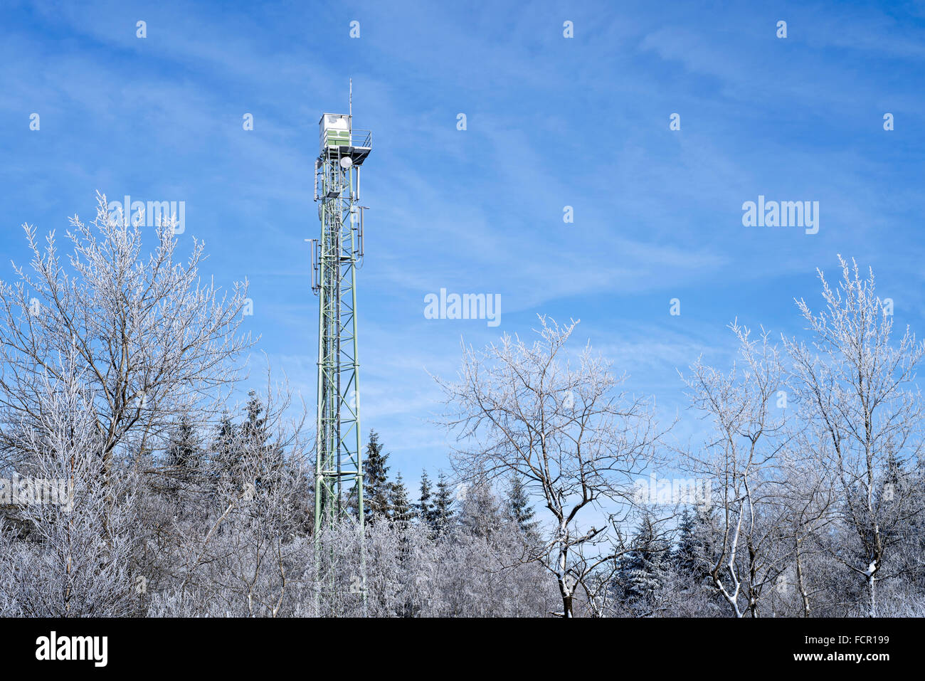 Trees covered in white frost in winter and forest fire watchtower at ...