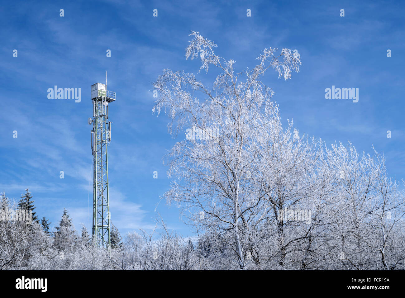Forest fire lookout tower hi-res stock photography and images - Alamy