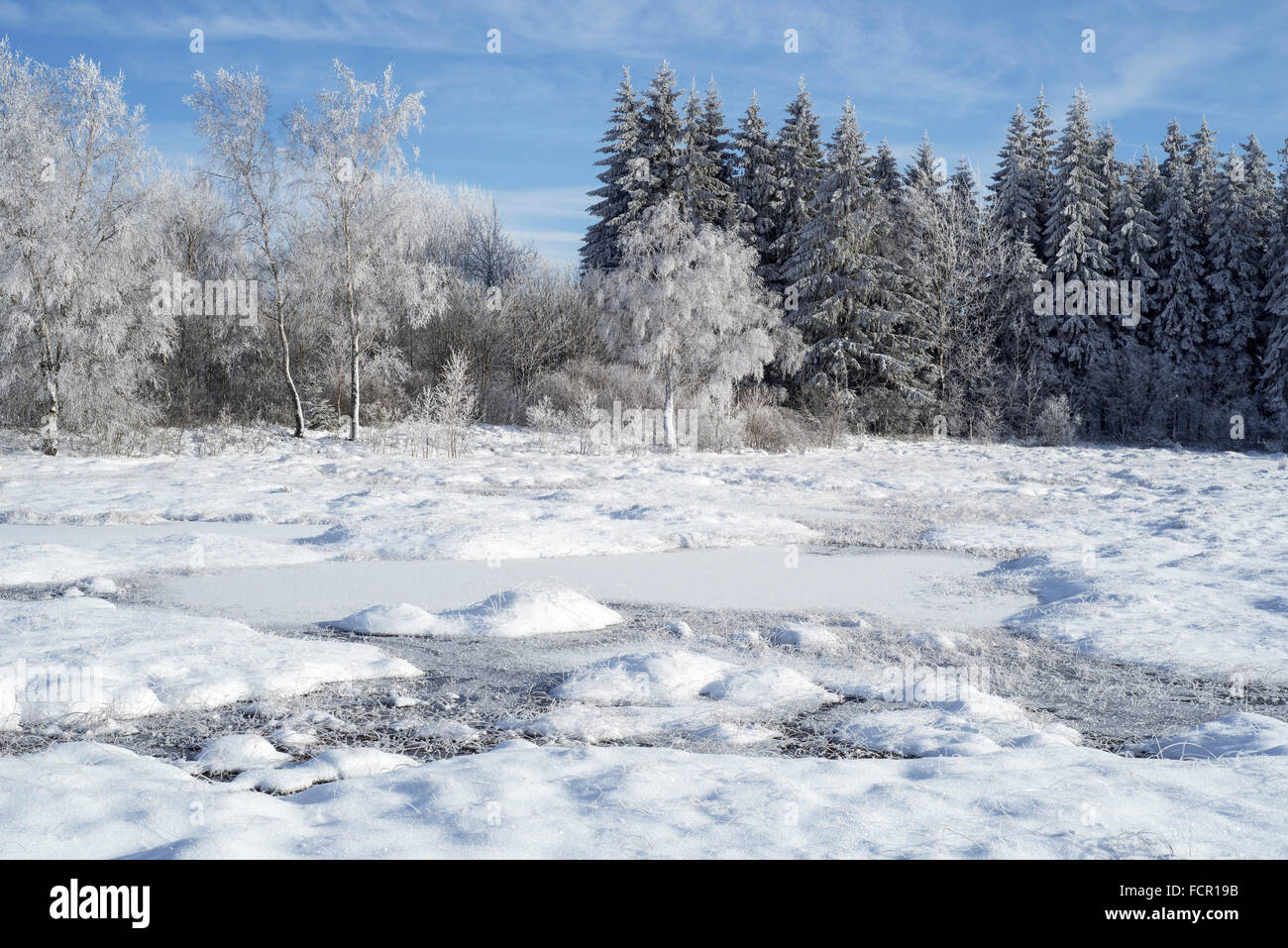 Moorland with frozen pingo in winter at the Hoge Venen / High Fens ...