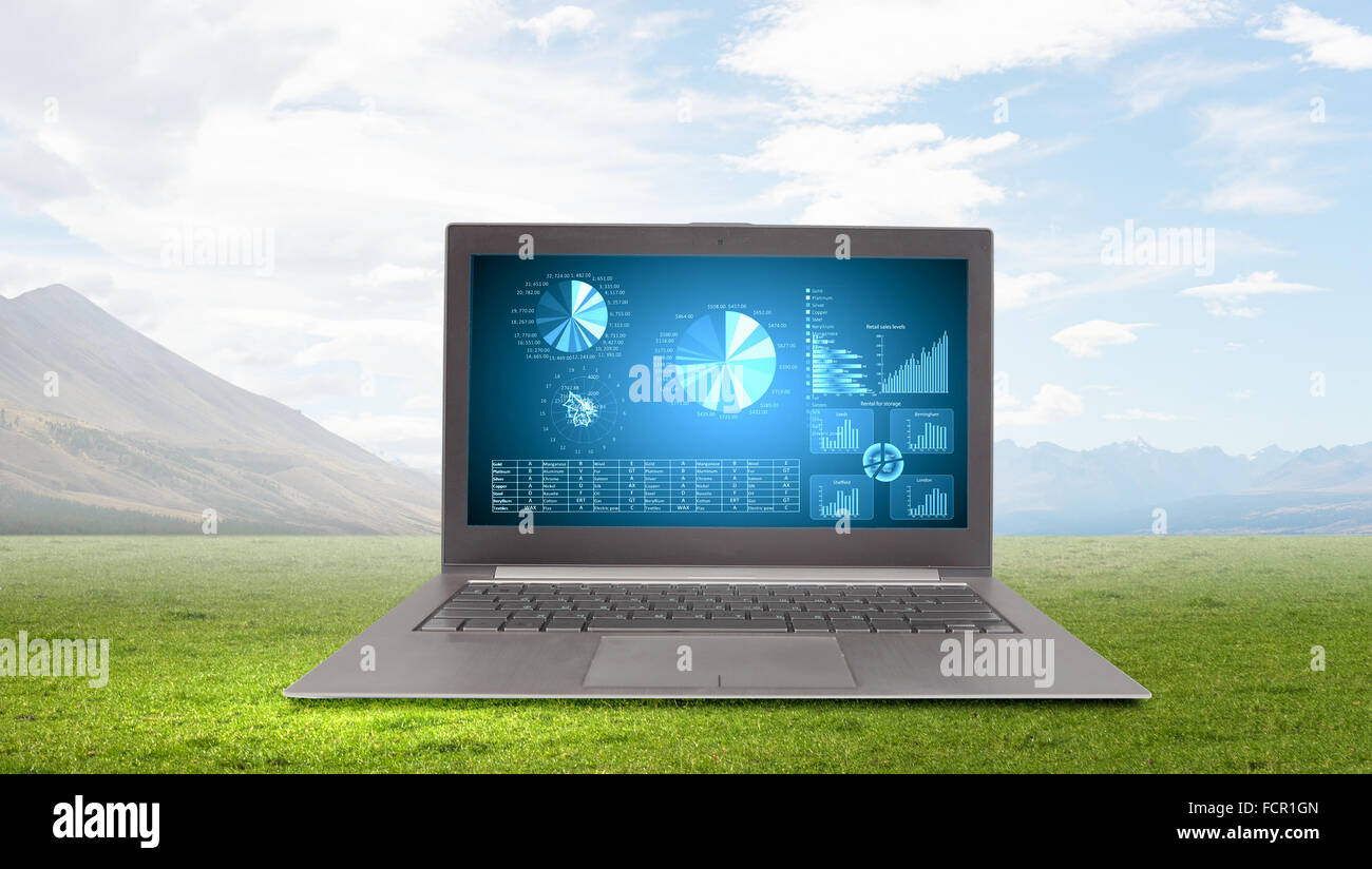 Laptop with graphs and diagrams on screen Stock Photo - Alamy