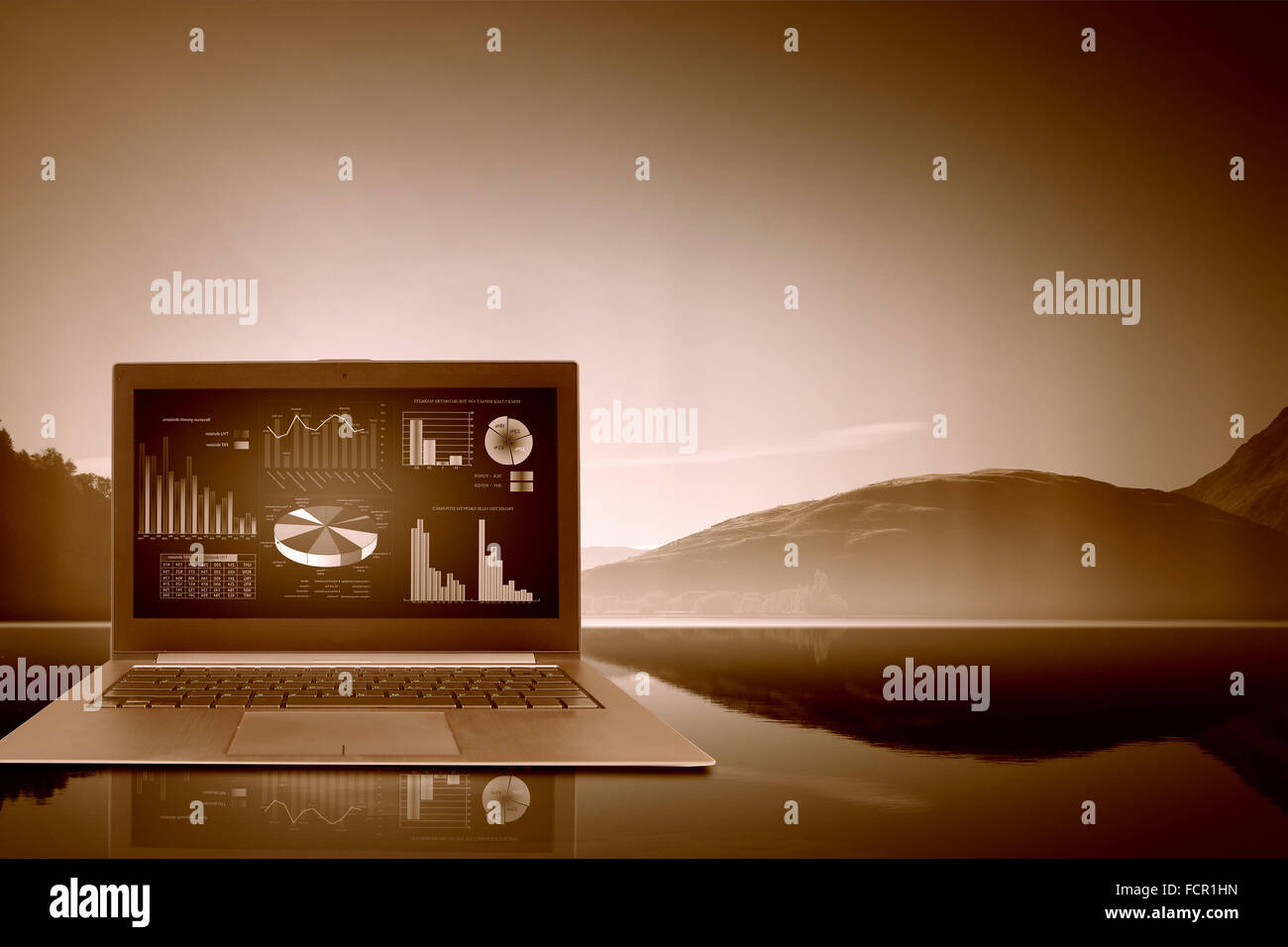 Laptop with graphs and diagrams on screen Stock Photo - Alamy
