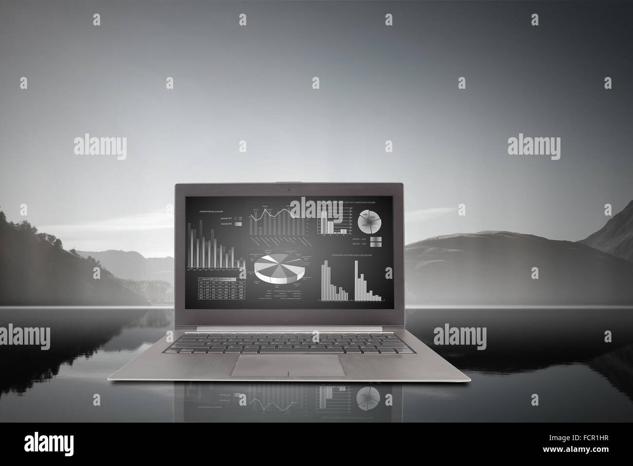 Laptop with graphs and diagrams on screen Stock Photo - Alamy