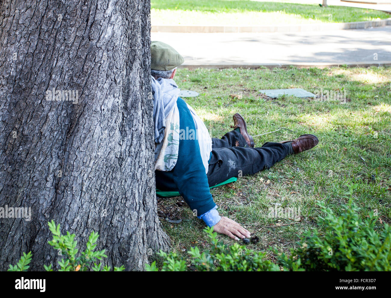 Poor man sitting in a park with his back against a tree Stock Photo - Alamy