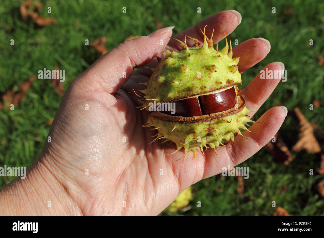 Palm of hand hi-res stock photography and images - Alamy
