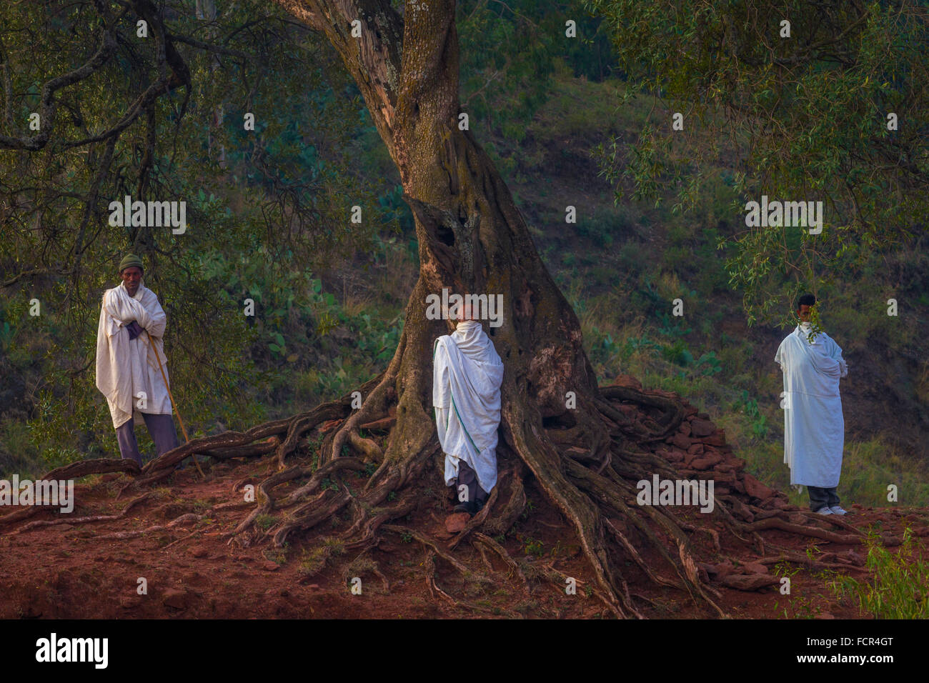 Worshipers standing next to a tree at Bet Giyorgis rock hewn church ...