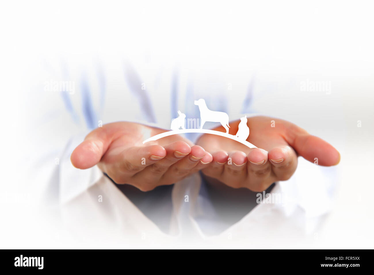 Close up of human hands with figures of animals Stock Photo - Alamy