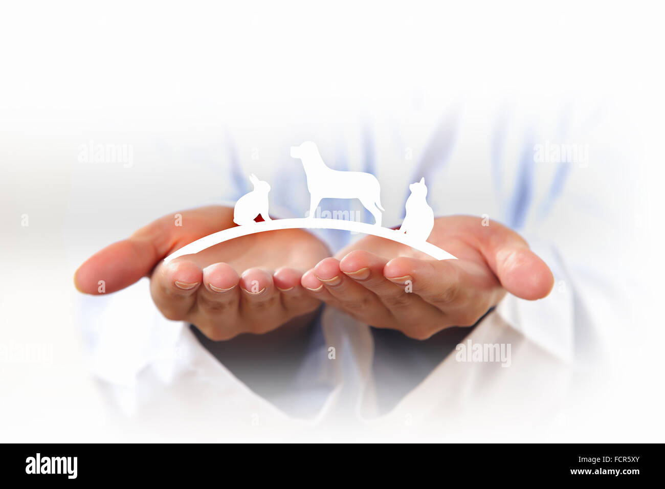 Close up of human hands with figures of animals Stock Photo - Alamy