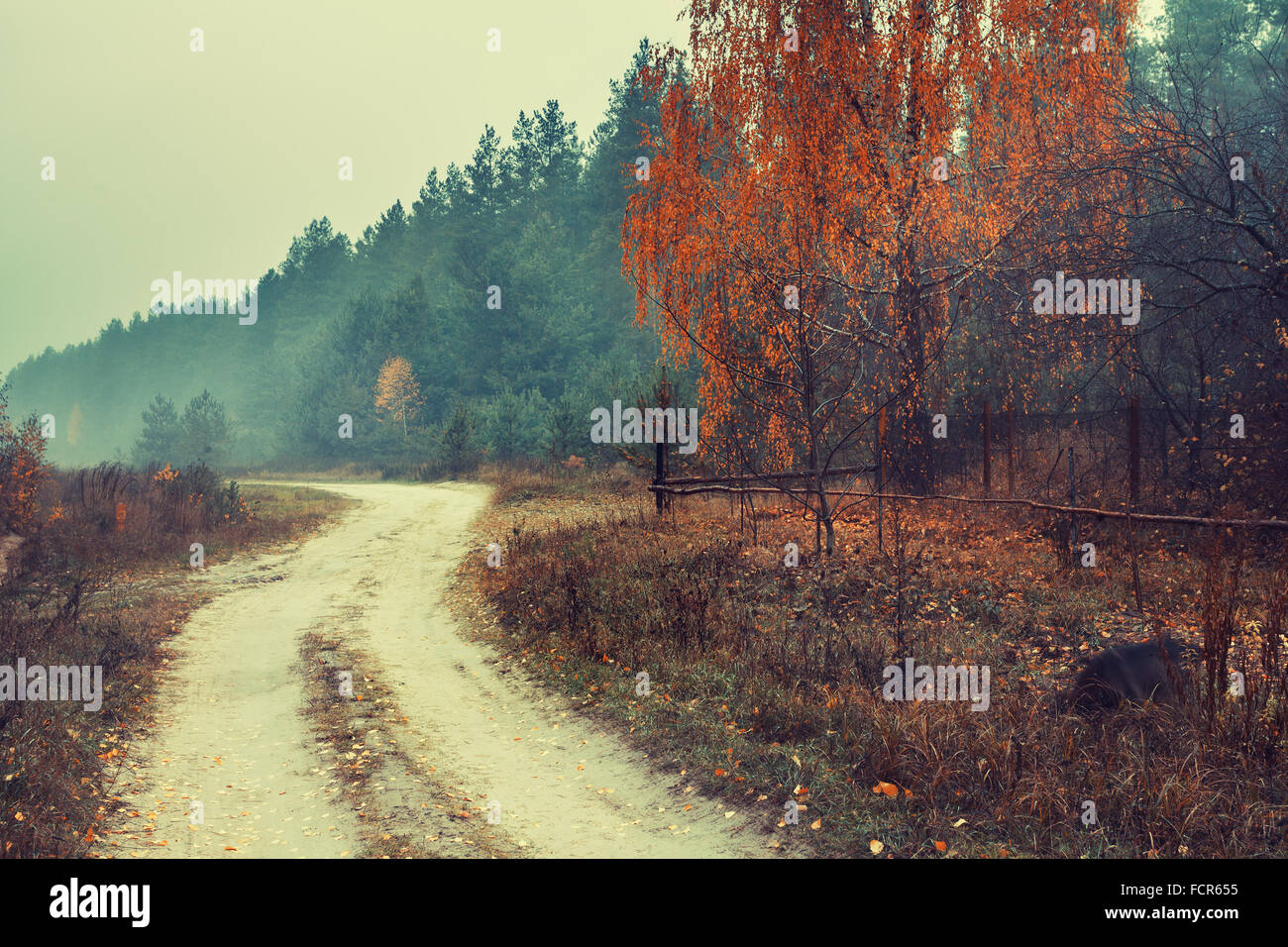 Autumn rainy rural landscape Stock Photo - Alamy