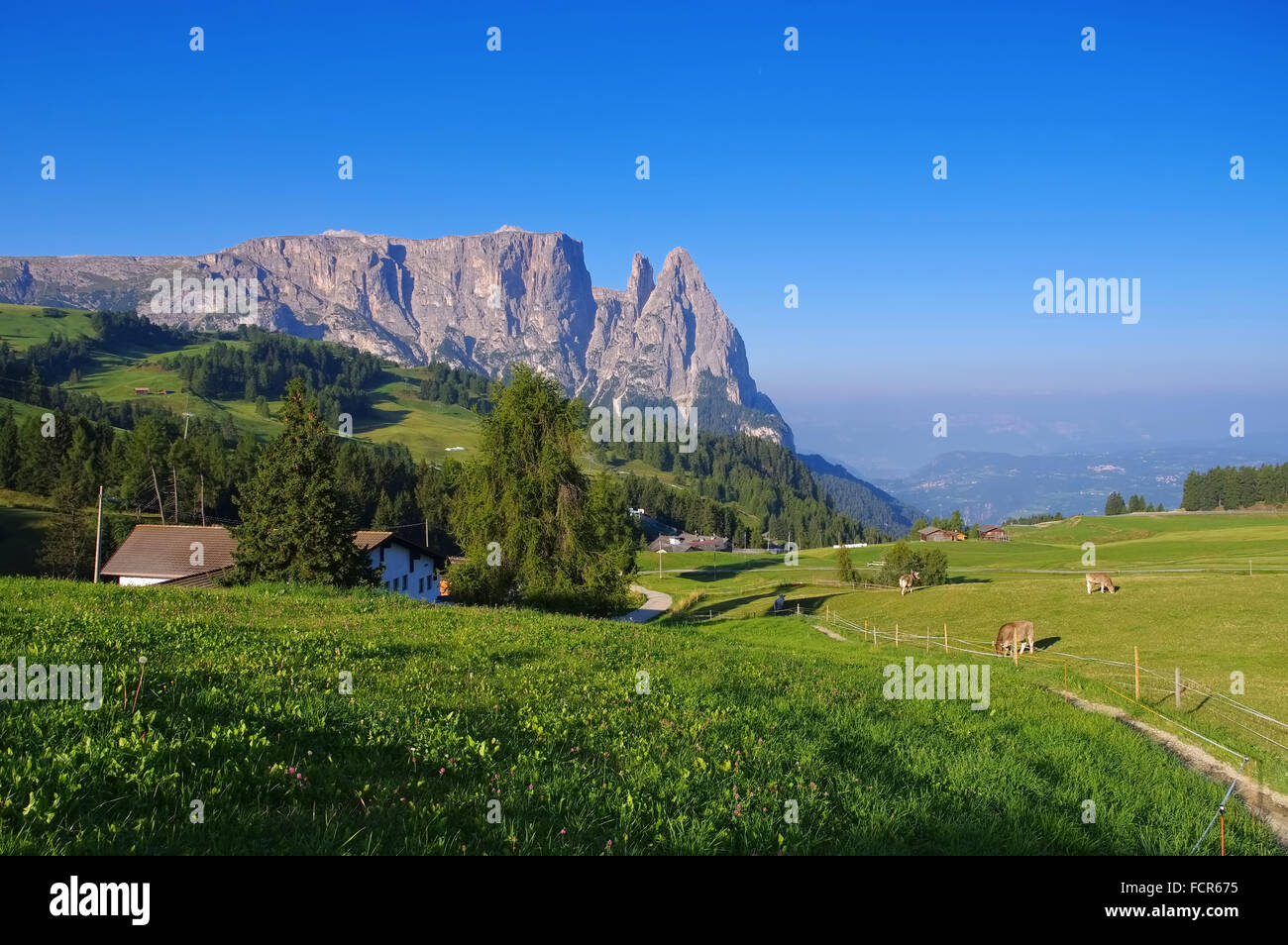 Schlern Stock Photos & Schlern Stock Images - Alamy