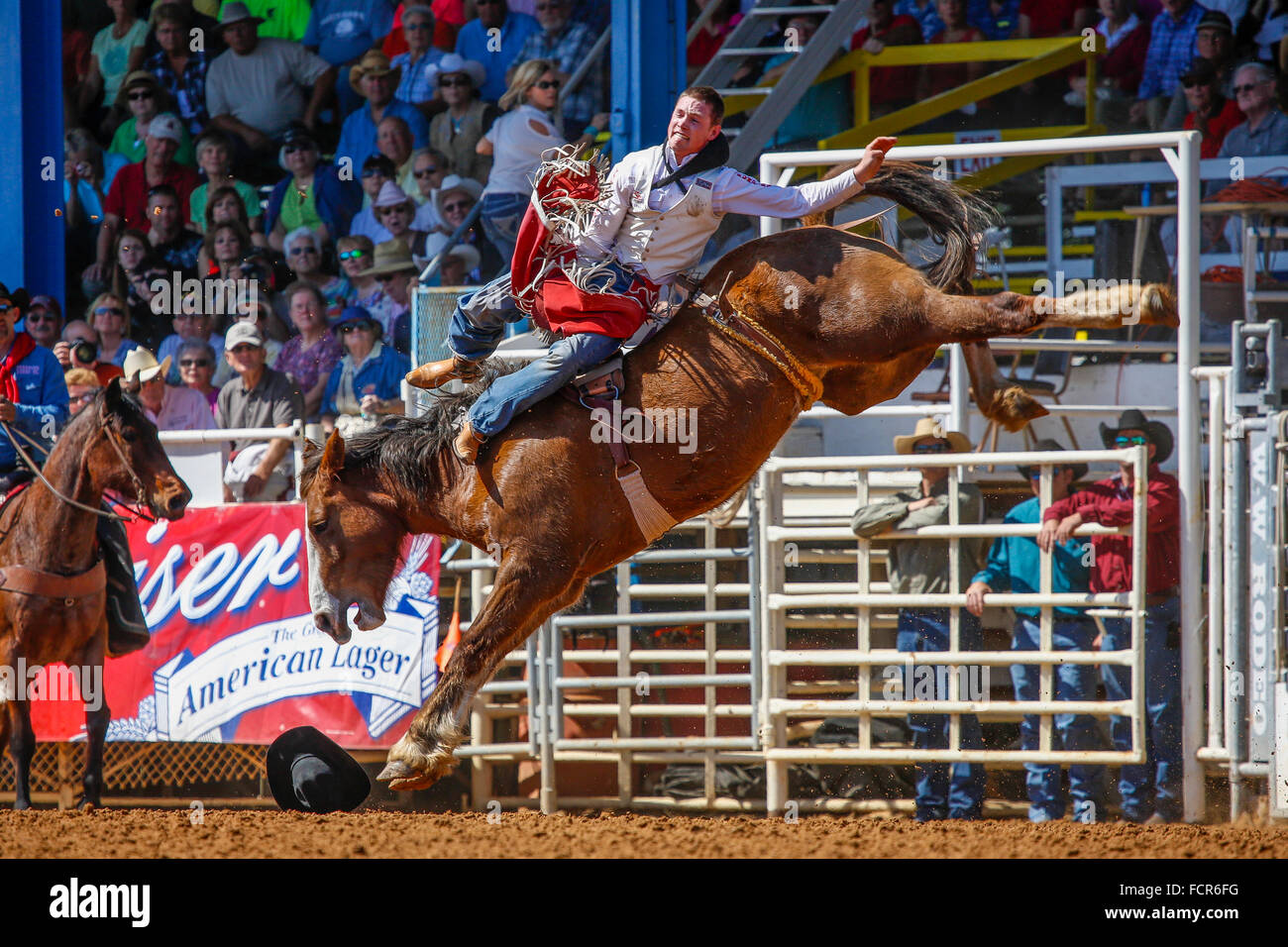 Arcadia All-Florida Championship P.R.C.A. Rodeo held in the ...