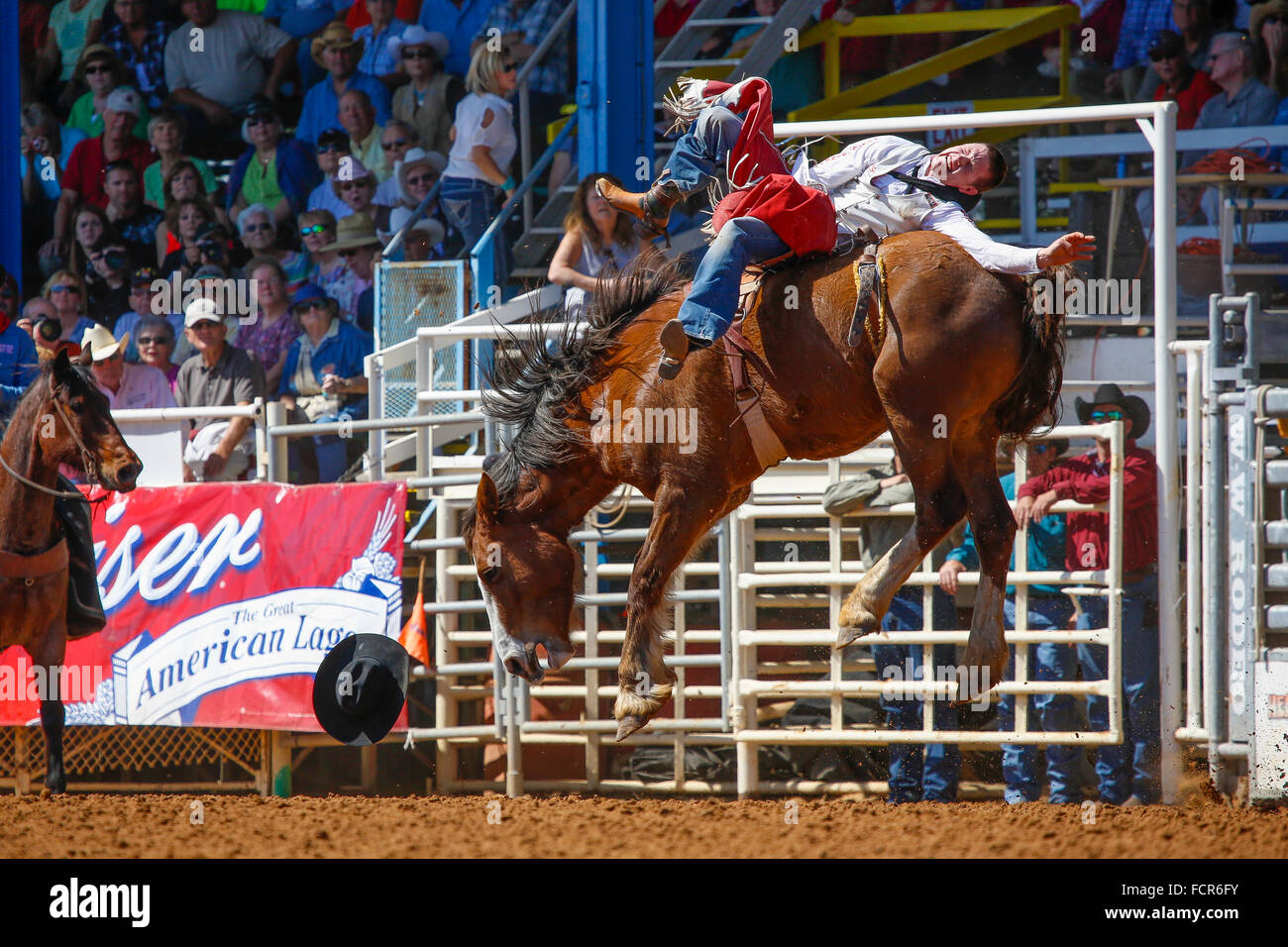 Arcadia All-Florida Championship P.R.C.A. Rodeo held in the ...