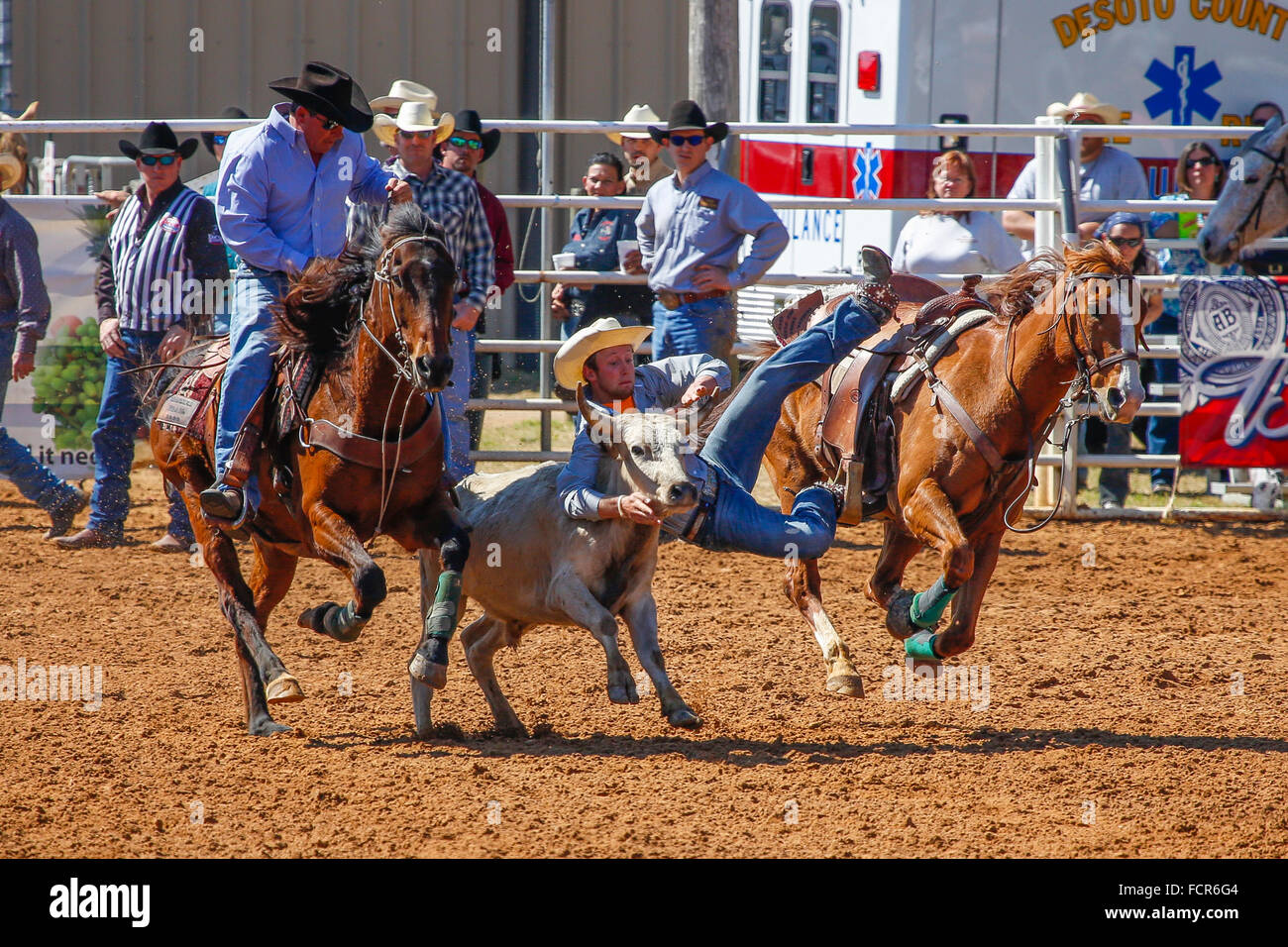 Arcadia All-Florida Championship P.R.C.A. Rodeo held in the ...