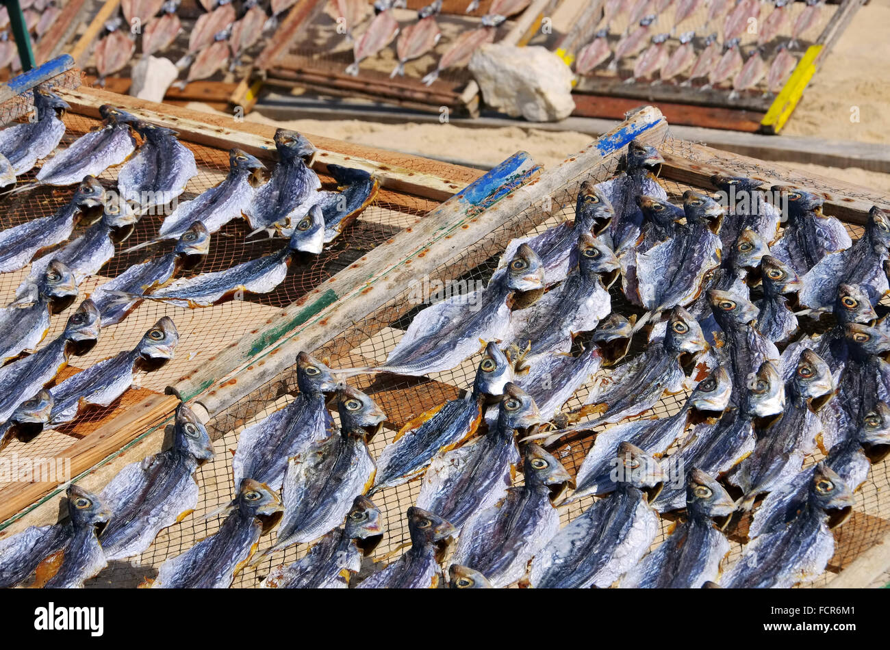 Stockfish hi-res stock photography and images - Alamy