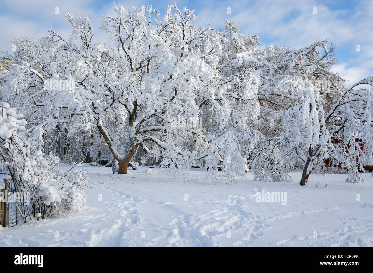 Sweden snow hi-res stock photography and images - Alamy