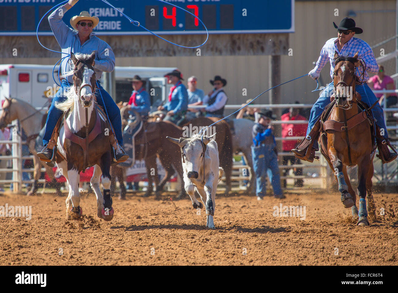 Arcadia All-Florida Championship P.R.C.A. Rodeo held in the ...