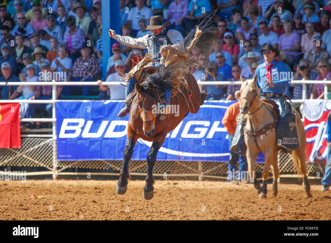 Arcadia All-Florida Championship P.R.C.A. Rodeo held in the ...
