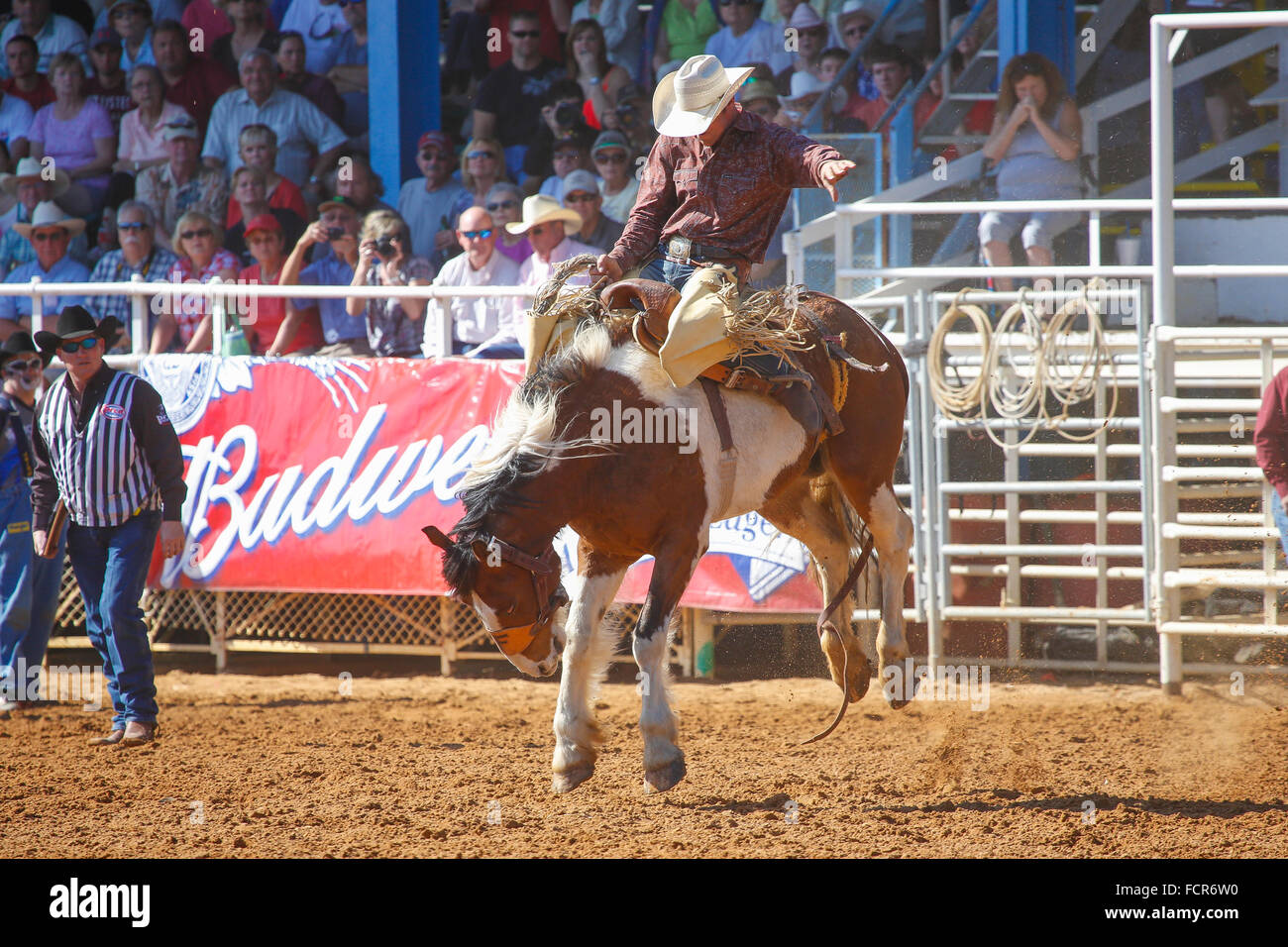 Arcadia All-Florida Championship P.R.C.A. Rodeo held in the ...