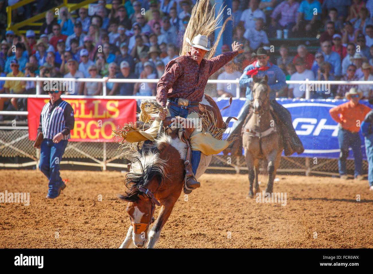 Arcadia All-Florida Championship P.R.C.A. Rodeo held in the ...