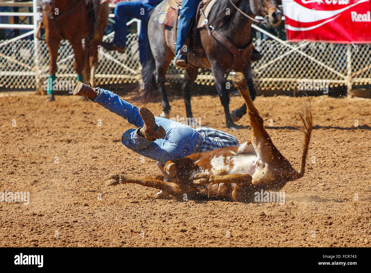 North american championship rodeo hi-res stock photography and images ...
