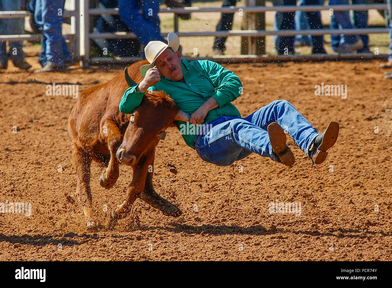 Arcadia All-Florida Championship P.R.C.A. Rodeo held in the ...