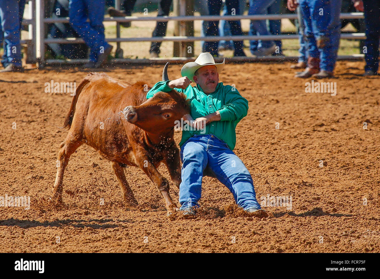 Championship wrestling florida hi-res stock photography and images - Alamy