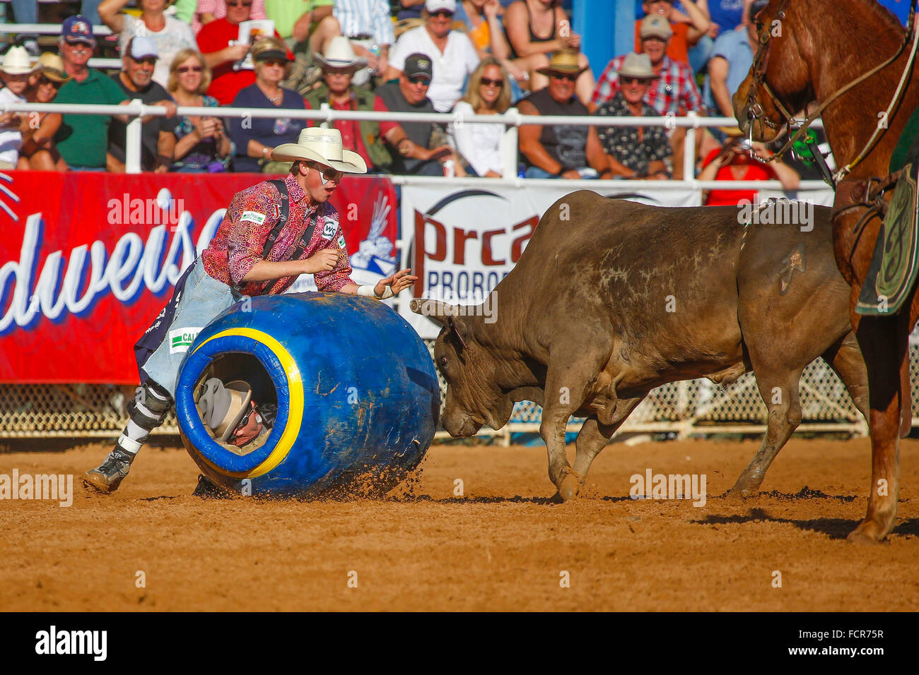 Clowns at Arcadia All-Florida Championship P.R.C.A. Rodeo held in the ...