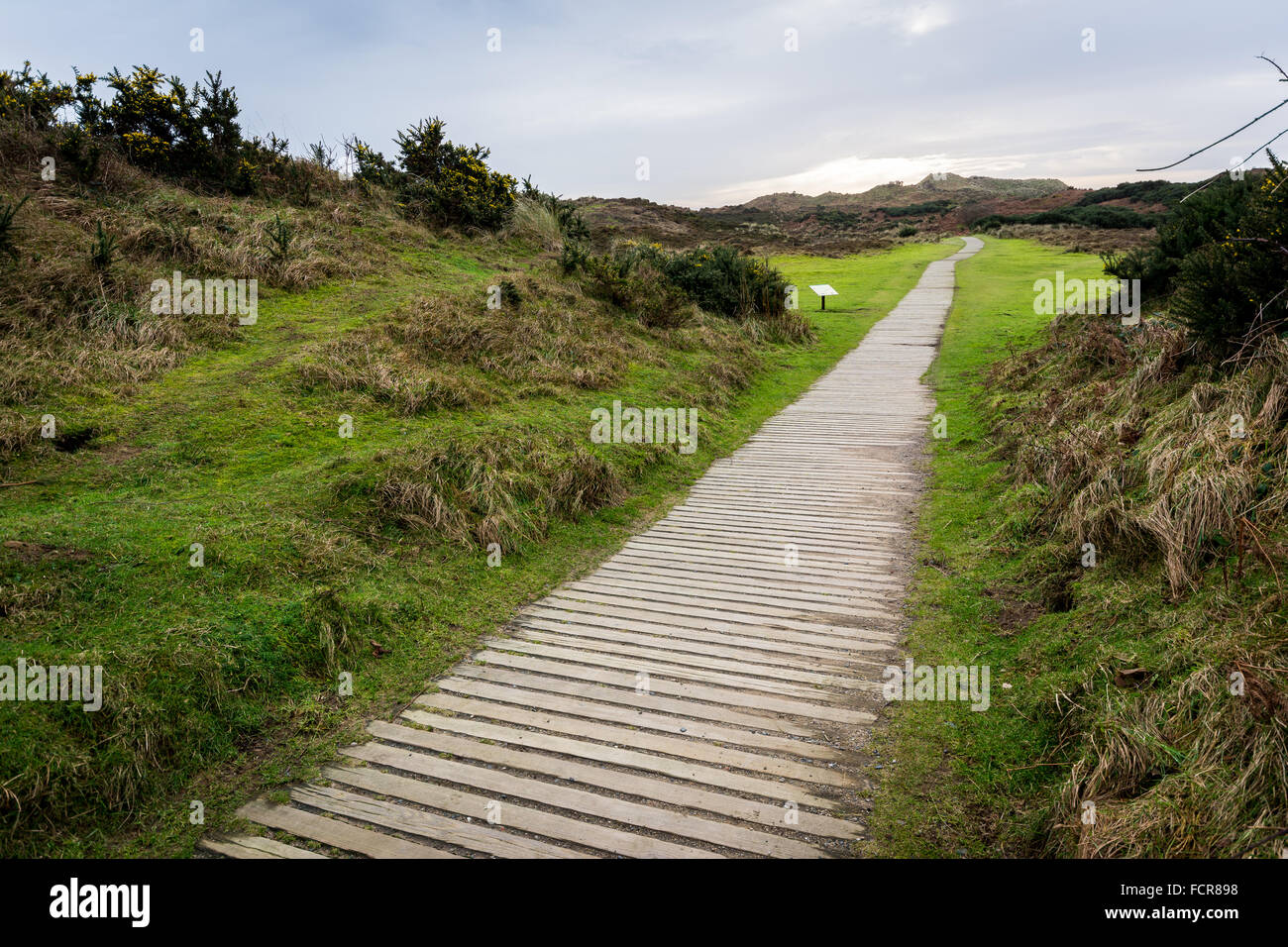 A wooden path leads the way to Murlough Beach outside Newcastle town in ...