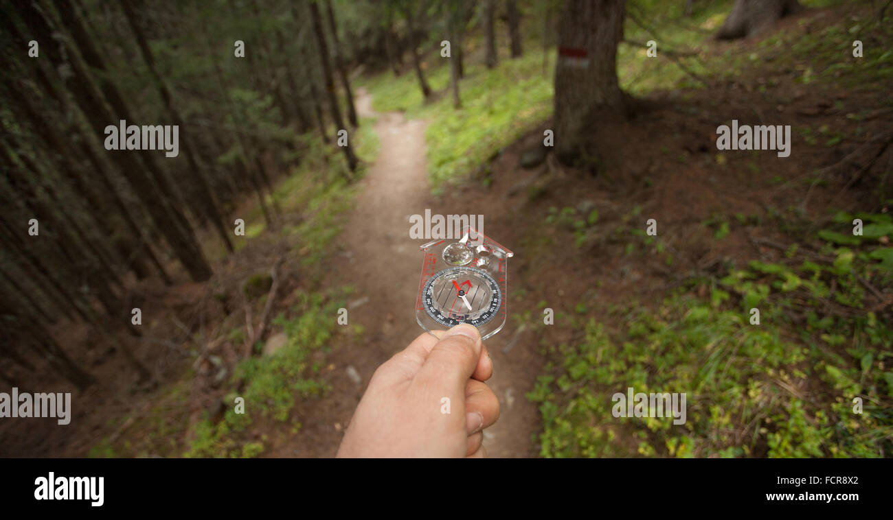 finding the right position in the forest with a compass Stock Photo - Alamy