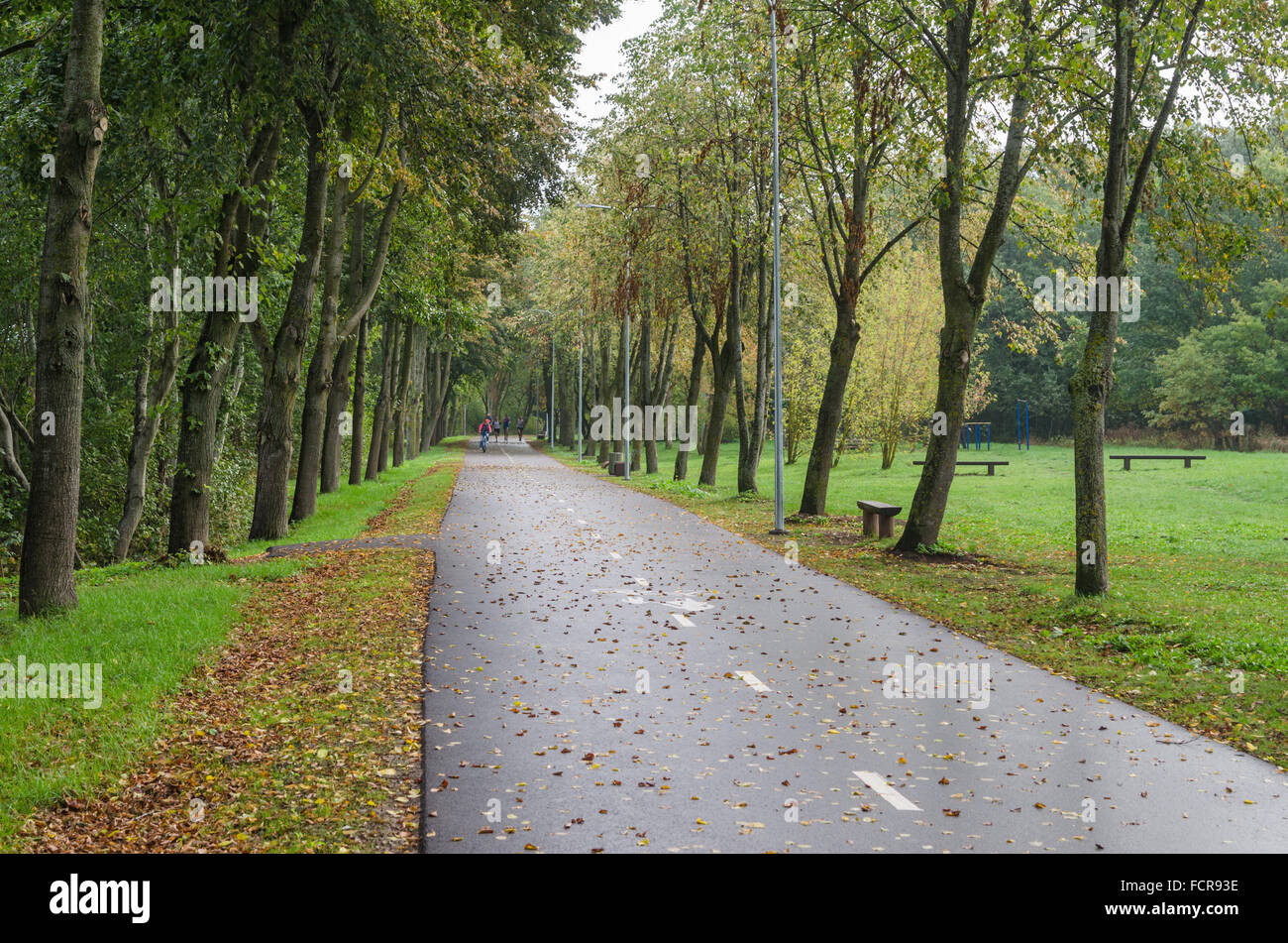 Alley branch hi-res stock photography and images - Alamy