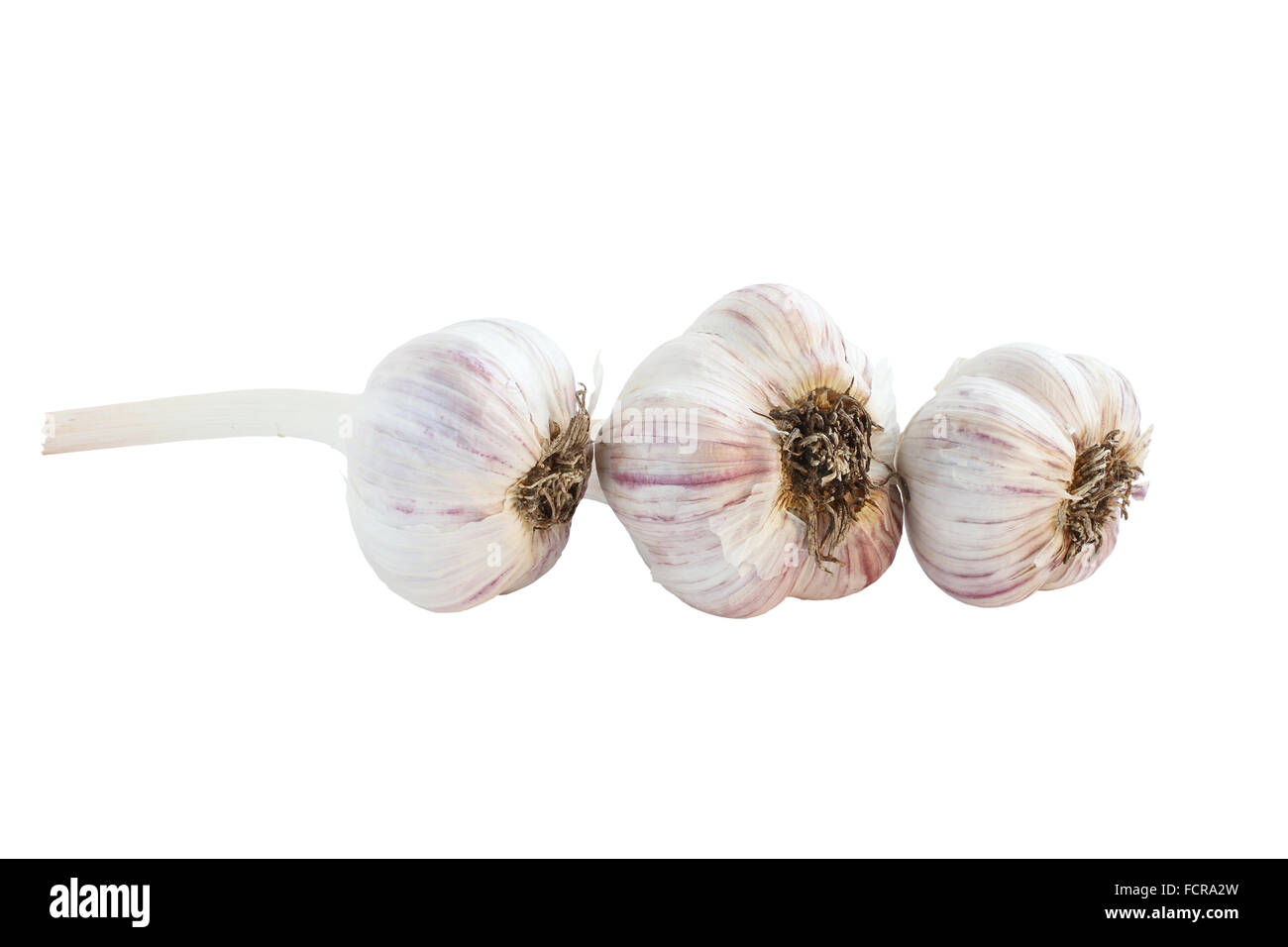 Three big garlic heads isolated on white background Stock Photo - Alamy