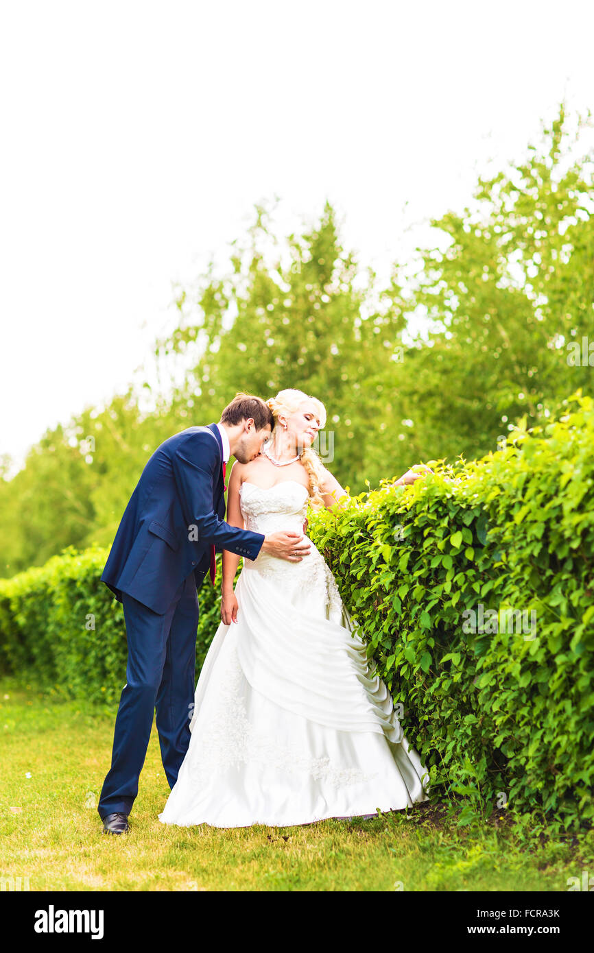 Wedding, Beautiful Romantic Bride and Groom Kissing and Embracing Stock ...