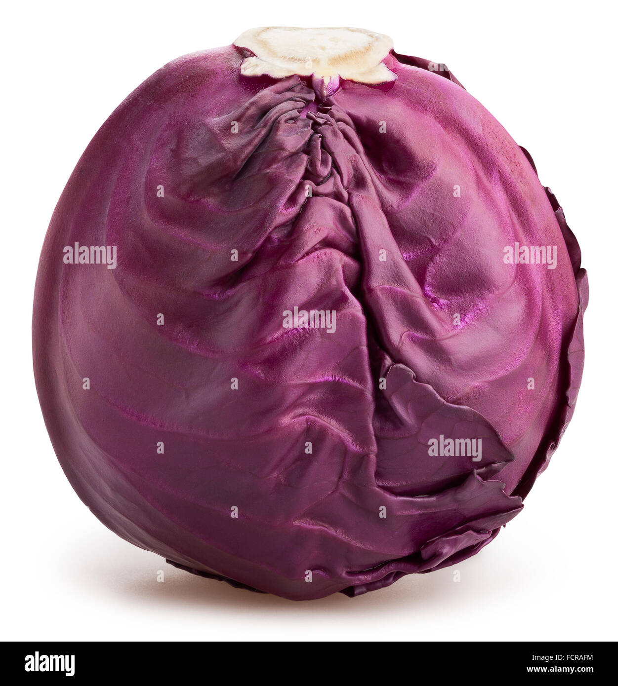 red cabbage isolated Stock Photo - Alamy