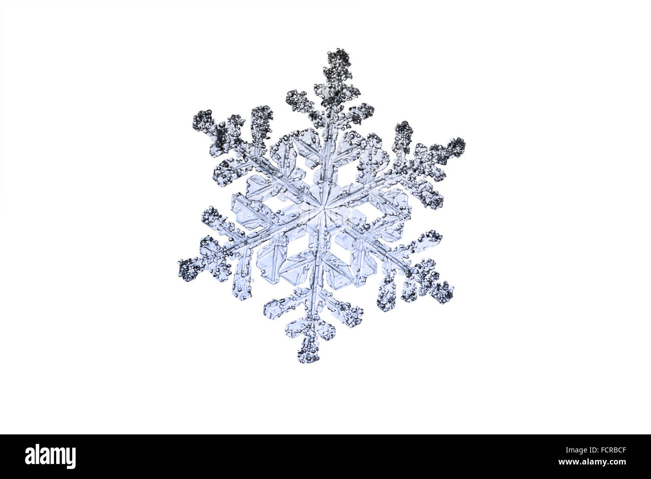 real natural flake, snowflake macro isolated on white background Stock ...