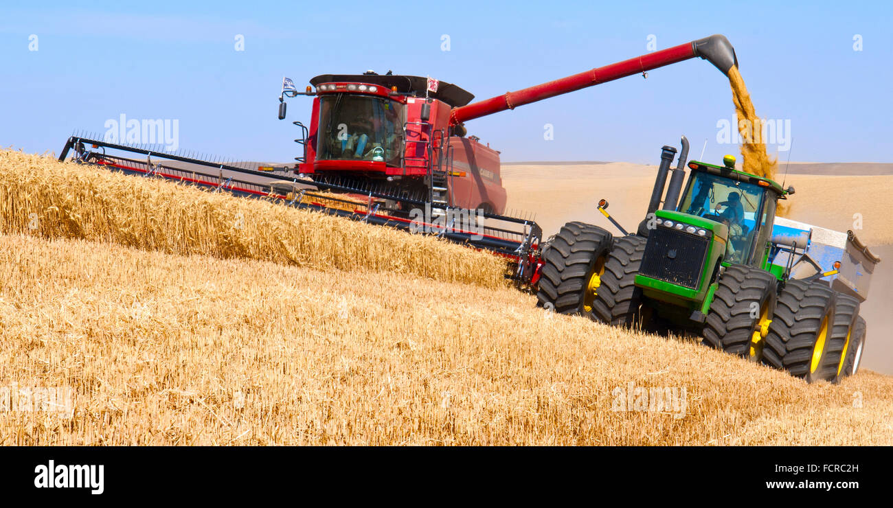 Combine Harvester Offloading Grain High Resolution Stock Photography ...
