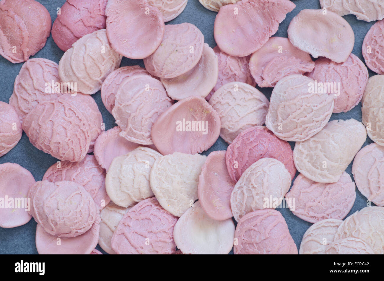 closeup to assorted pasta shells Stock Photo - Alamy