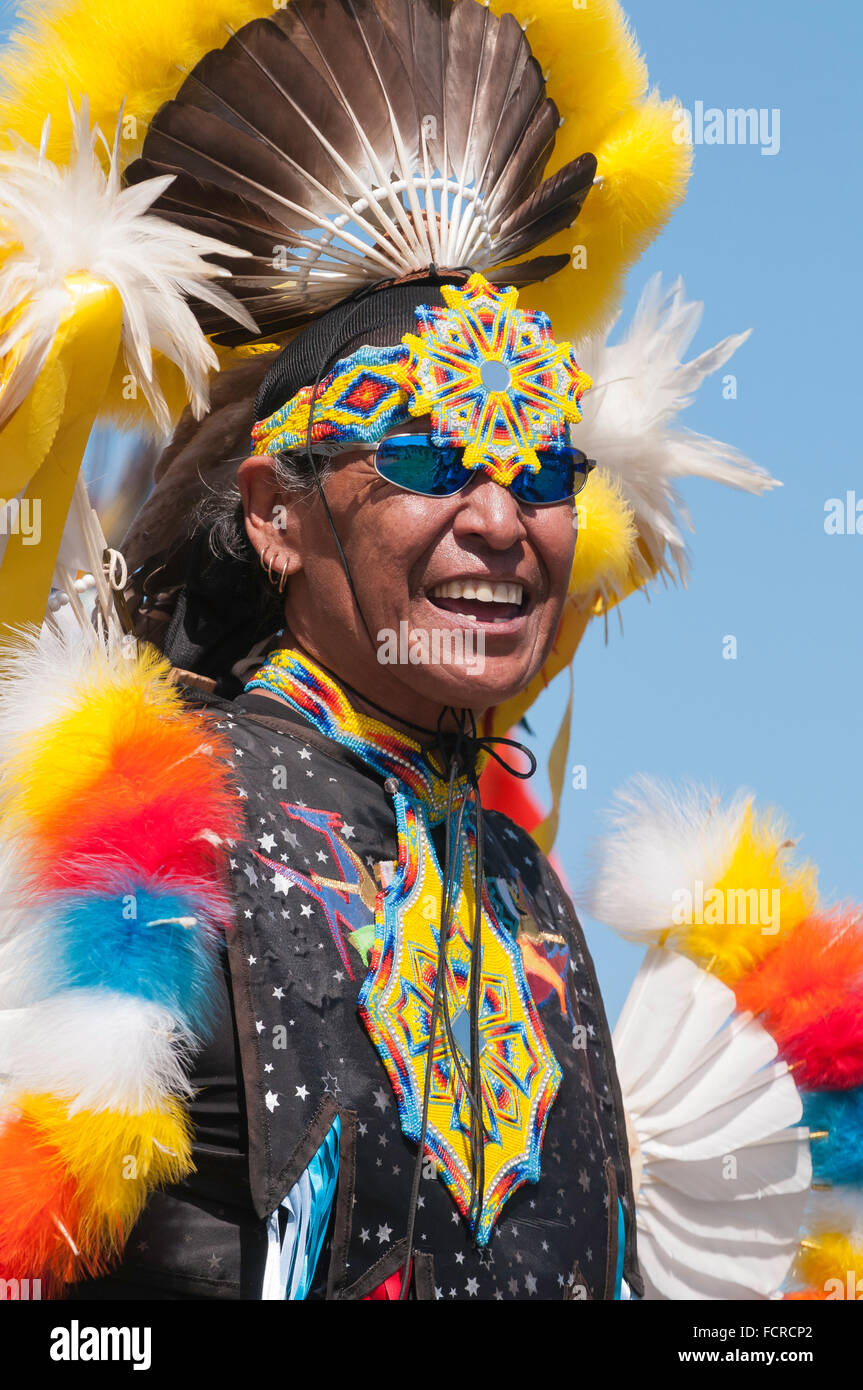 American bison native american drums hi-res stock photography and ...