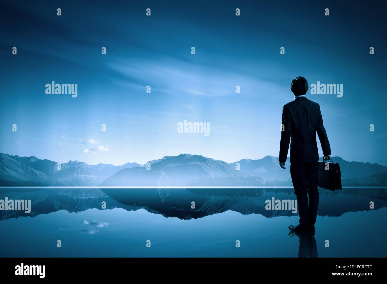 Rear view of businessman looking at picturesque nature landscape Stock ...