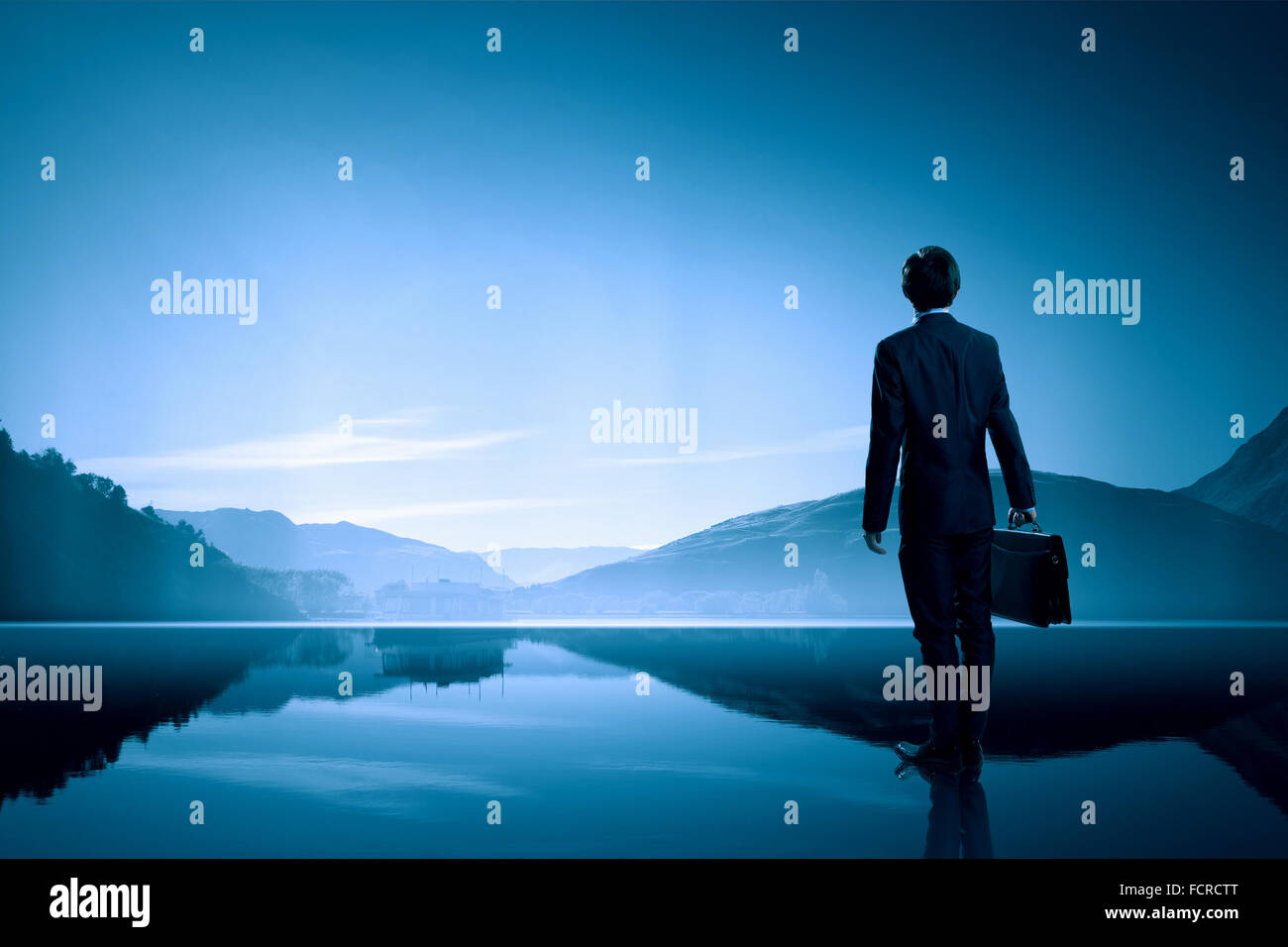 Rear view of businessman looking at picturesque nature landscape Stock ...