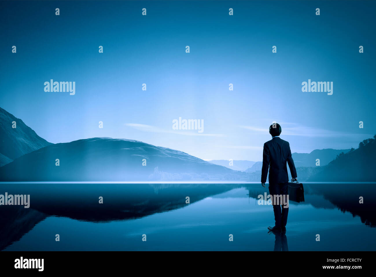 Rear view of businessman looking at picturesque nature landscape Stock ...
